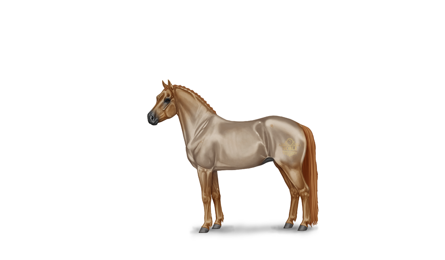 NOBLE HORSE CHAMPION