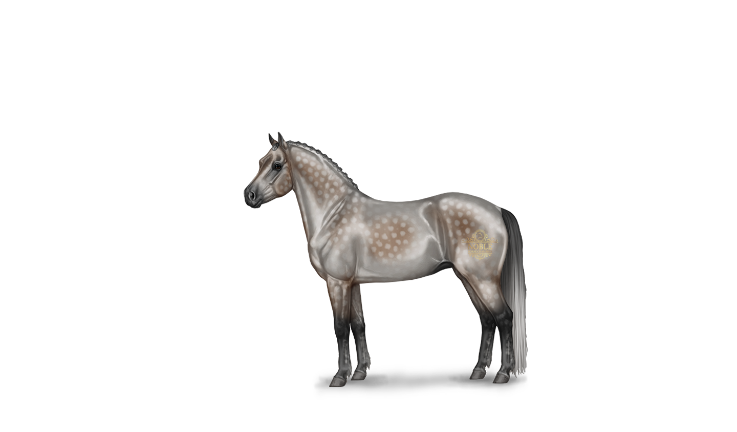 NOBLE HORSE CHAMPION